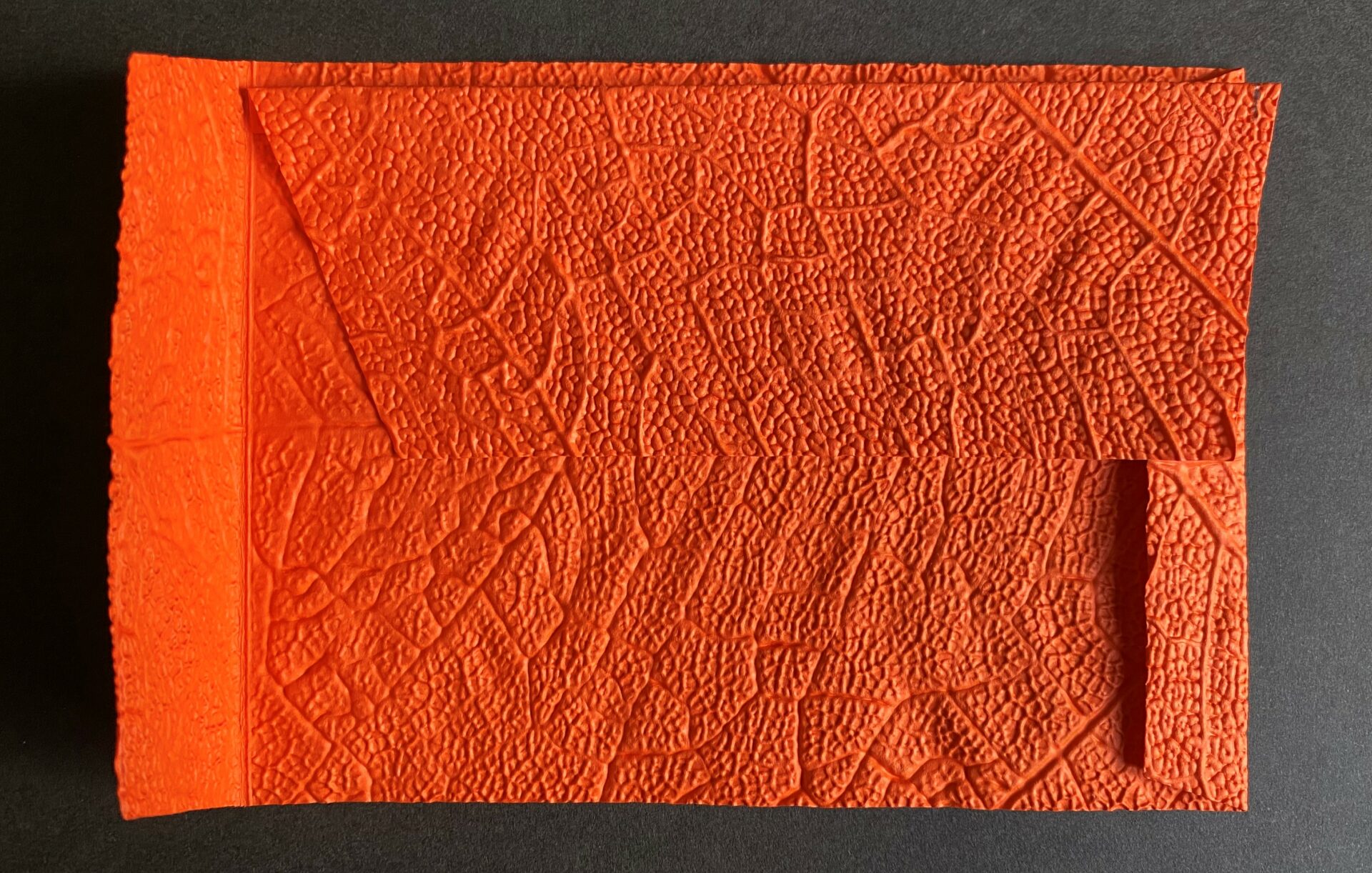 Leaf Embossed Envelope - Grove Crafted